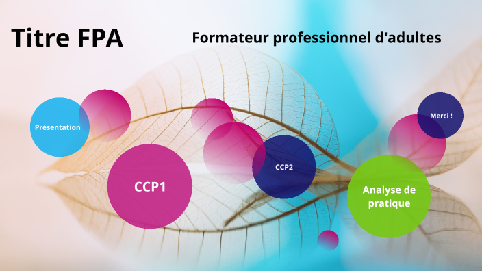 Dossier dpaf de patrice gantel by pppatt ppppatt on Prezi