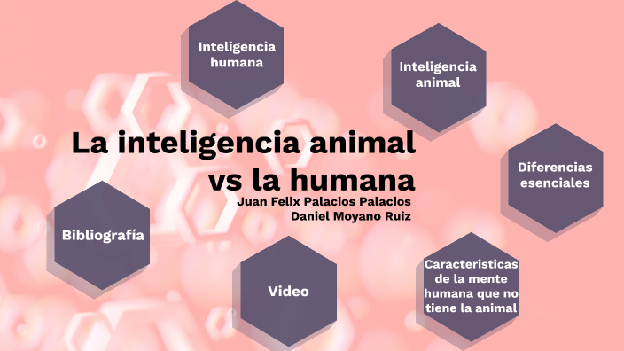 inteligencia animal vs humana by Daniel Moyano Ruiz on Prezi