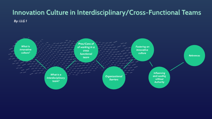 Innovation Culture in Interdisciplinary/Cross-Functional Teams by ...