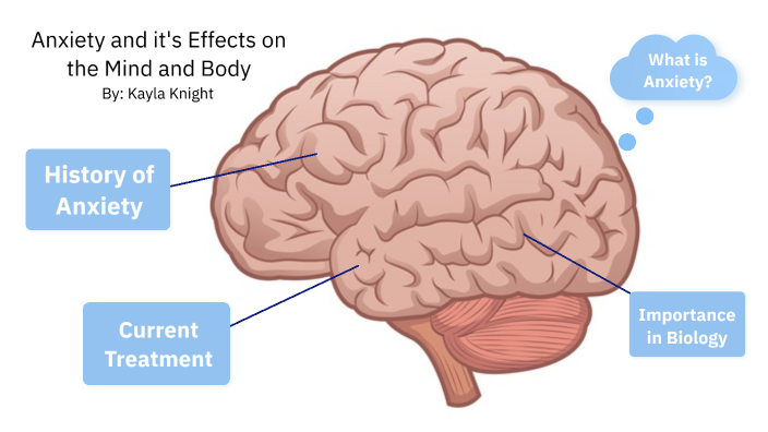 Anxiety and it's Effects on the Mind and Body by Kayla Knight on Prezi