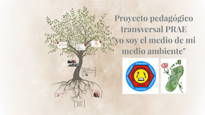 Proyecto Pedagógico Transversal Prae By Alexandra Lopez Martinez