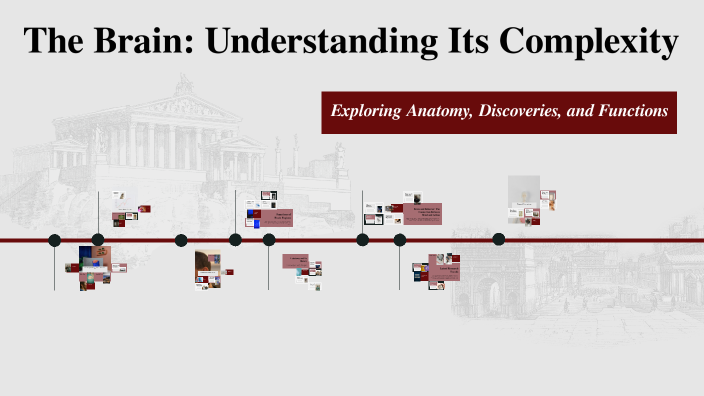 The Brain: Understanding Its Complexity by Blanka Molnár on Prezi