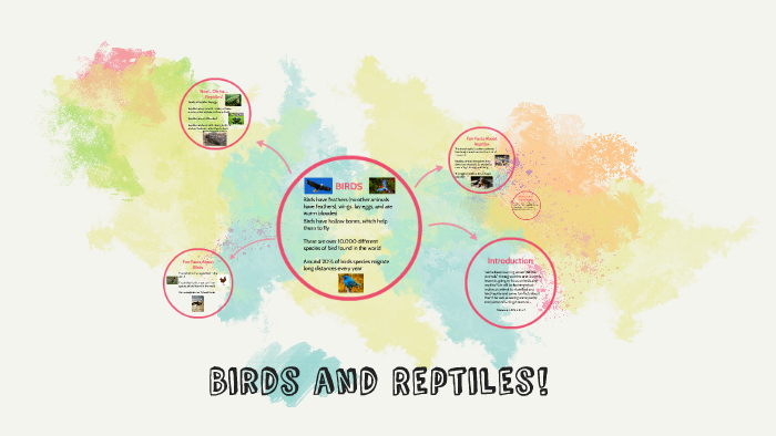 Birds and Reptiles! by Ashley Hogsette