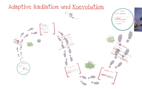 Adaptive Radiation und Koevolution by Tobias Thöle on Prezi