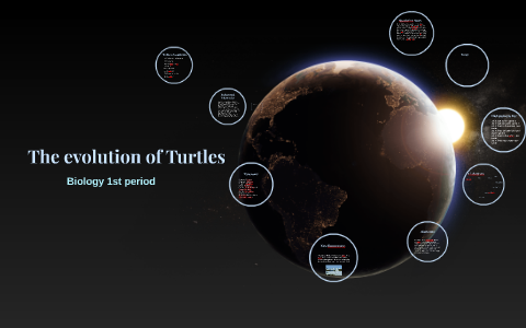 The evolution of Turtles by Yaresi rodriguez on Prezi
