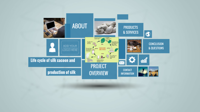 life cycle of cacoon and silk production by Jaskirat Singh on Prezi