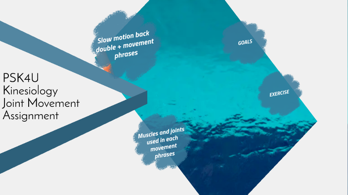 PSK4U Kinesiology Joint Movement Assignment by AUDREE BRAZEAU-HOWES on ...