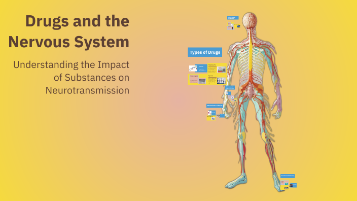 Drugs and the Nervous System by Seang Siteang on Prezi