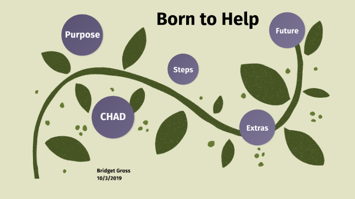 Born to Help by Bridget Gross on Prezi