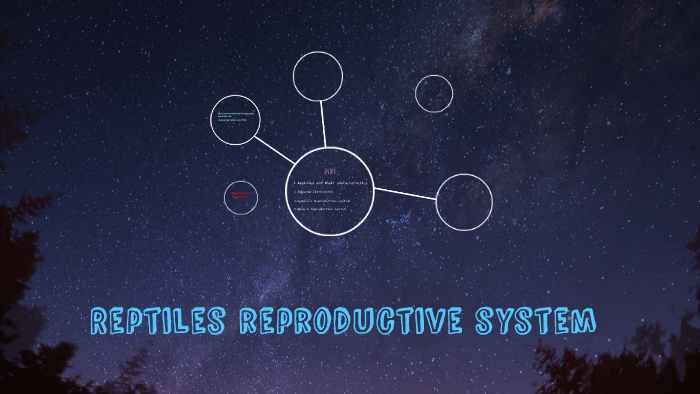 Reptiles reproductive system by Ivan Leo on Prezi