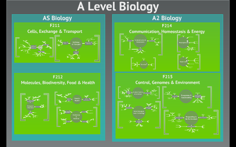 A Level Biology (OCR) by Joe Wright on Prezi