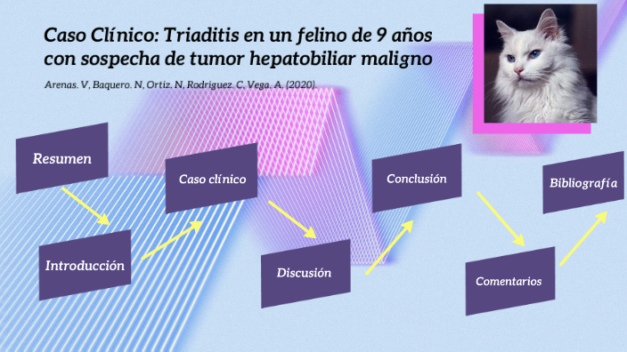 Triaditis felina by Natalia Ortiz on Prezi