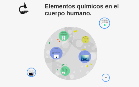 Elementos químicos en el cuerpo humano. by patricia lujan fernandez on ...