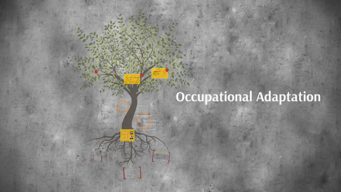 Occupational Adaptation by Christina Staniszewski on Prezi