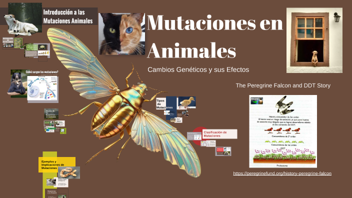 Mutaciones en Animales by Erwin Pabel Miranda López on Prezi