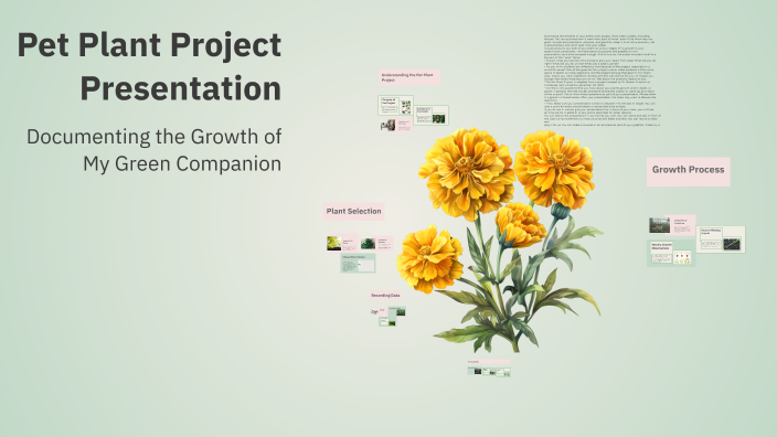 Pet Plant Project Presentation by Ana Sofia Perez Rios on Prezi
