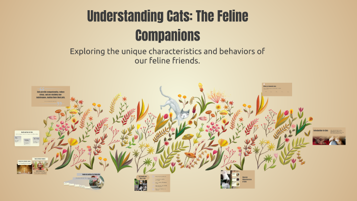 Understanding Cats: The Feline Companions by Ch Jf on Prezi