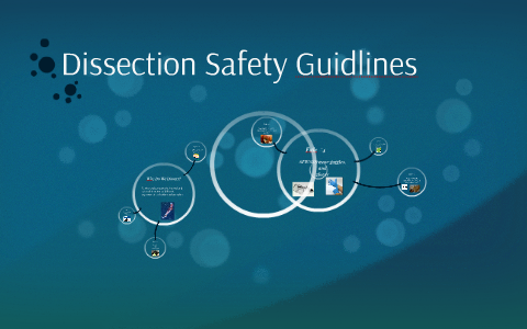 Dissection Safety Guidlines by Joseph Dell'Arciprete on Prezi