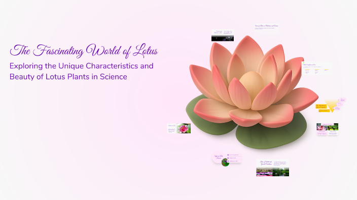 The Fascinating World of Lotus by Kala Patel on Prezi