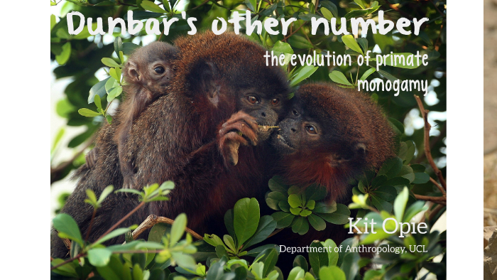 Dunbar's other number: The evolution of primate monogamy by Kit Opie on ...