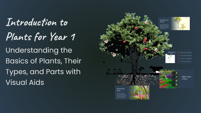 Introduction to Plants for Year 1 by AIZAL MUHAMMED on Prezi