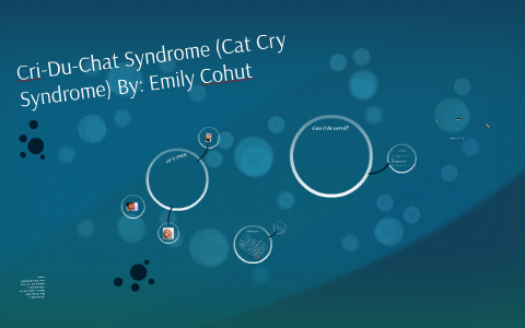Cri-Du-Chat Syndrome (Cat Cry Syndrome) By: Emily Cohut by Emily C on Prezi