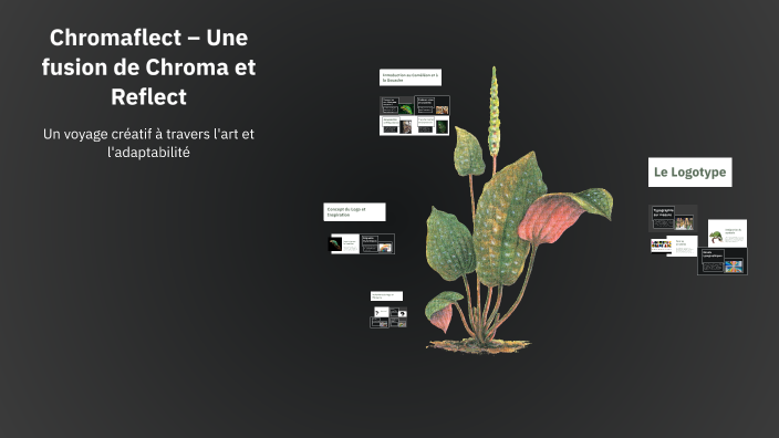 Chromaflect – Une fusion de Chroma et Reflect by kheireddine ghamgui on ...