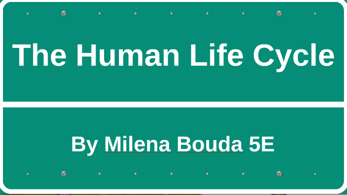 The Human Life Cycle by Jan Bouda on Prezi