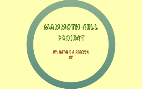 MAMMOTH CELL by Rebecca King on Prezi
