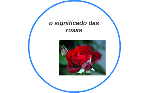 o significado das rosas by Maria Santos on Prezi