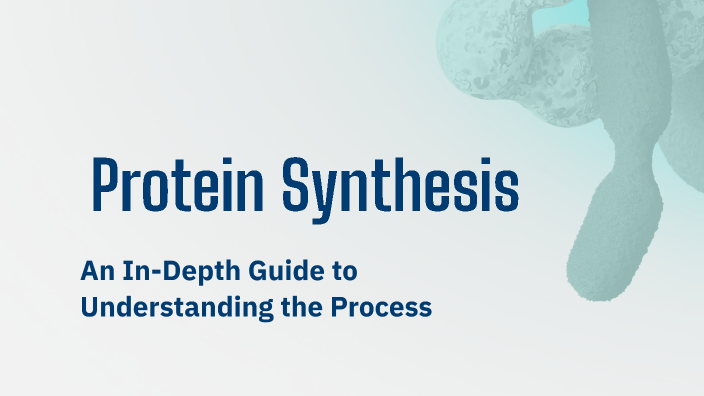Concept Map of Protein Synthesis by Hannah Hudson on Prezi
