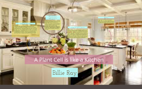 A Plant Cell is like a Kitchen by Billie Ray on Prezi