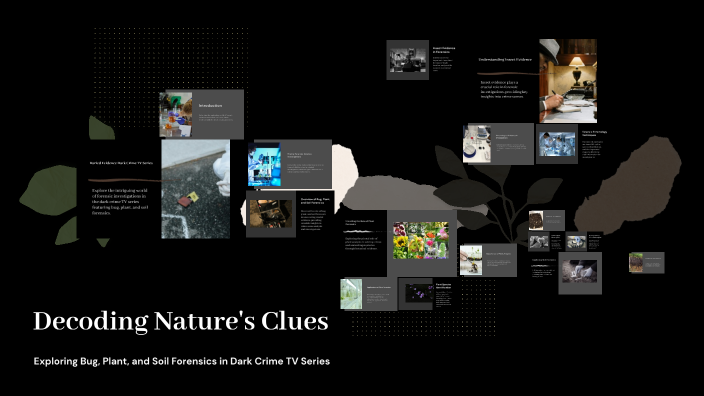 Decoding Nature's Clues by Hannah McMillan on Prezi