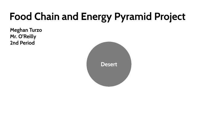 food chain project by meghan turzo on Prezi