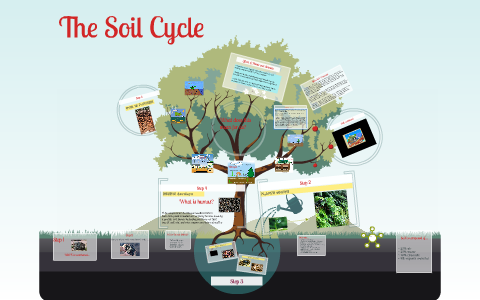 The Soil Cycle by Andrea Carrera on Prezi