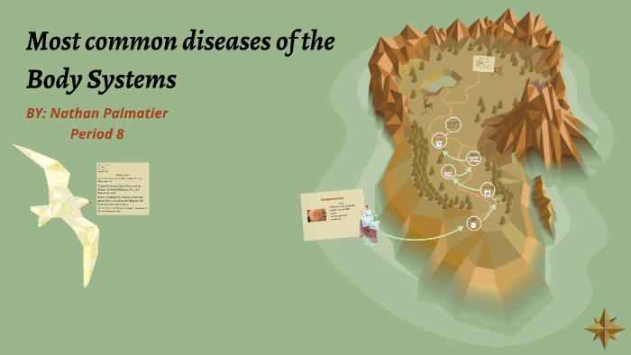 Most common diseases of the Body Systems by Nathan Palmatier on Prezi