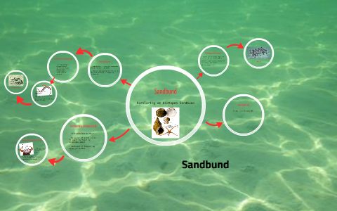 Sandbund by Simone de Blanck on Prezi