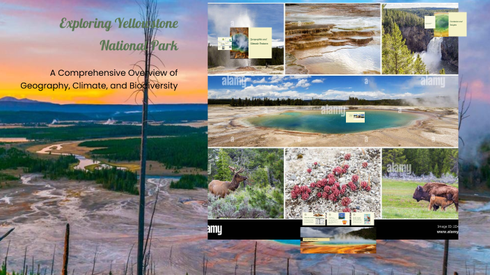 Exploring Yellowstone National Park by travis pasco on Prezi