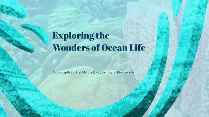 Exploring the Wonders of Ocean Life by Nidhi on Prezi