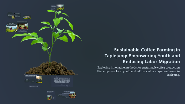 Sustainable Coffee Farming in Taplejung: Empowering Youth and Reducing ...
