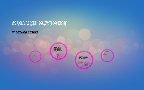 Mollusk Movement by BreeAnna Sistanich on Prezi
