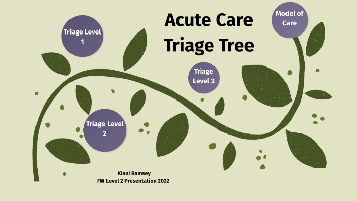 Acute Care Triage Tree by Kiani Ramsey on Prezi