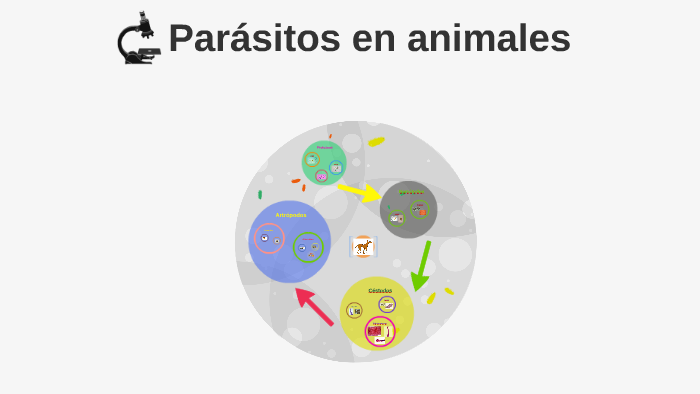 Parásitos en animales by roberto olguin on Prezi