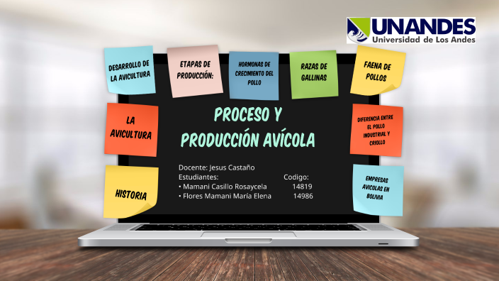 PROCESO Y PRODUCCION AVICOLA by rous mamani