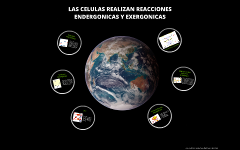 LAS CELULAS REALIZAN REACCIONES ENDERGONICAS Y EXERGONICAS by andres ...