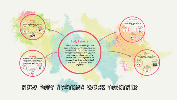 How Body Systems Work Together By Ashley Calabro