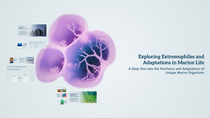 Exploring Extremophiles and Adaptations in Marine Life by Sofia Barreto ...