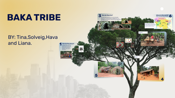 BAKA TRIBE by Liana Jordbrudal on Prezi