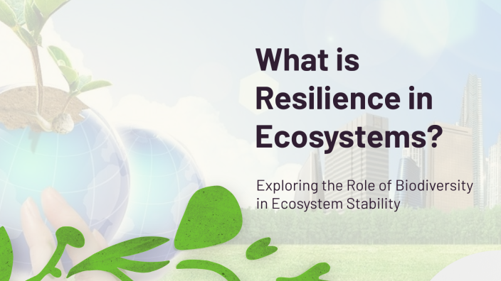 What is Resilience in Ecosystems? by Kayla Burrows _ Staff ...