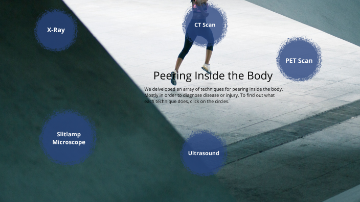 Peering inside a body by Kami Graham on Prezi